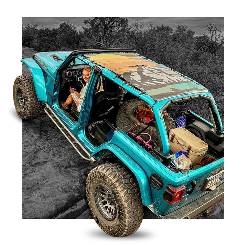 Custom Printed Shades – SPIDERWEBSHADE