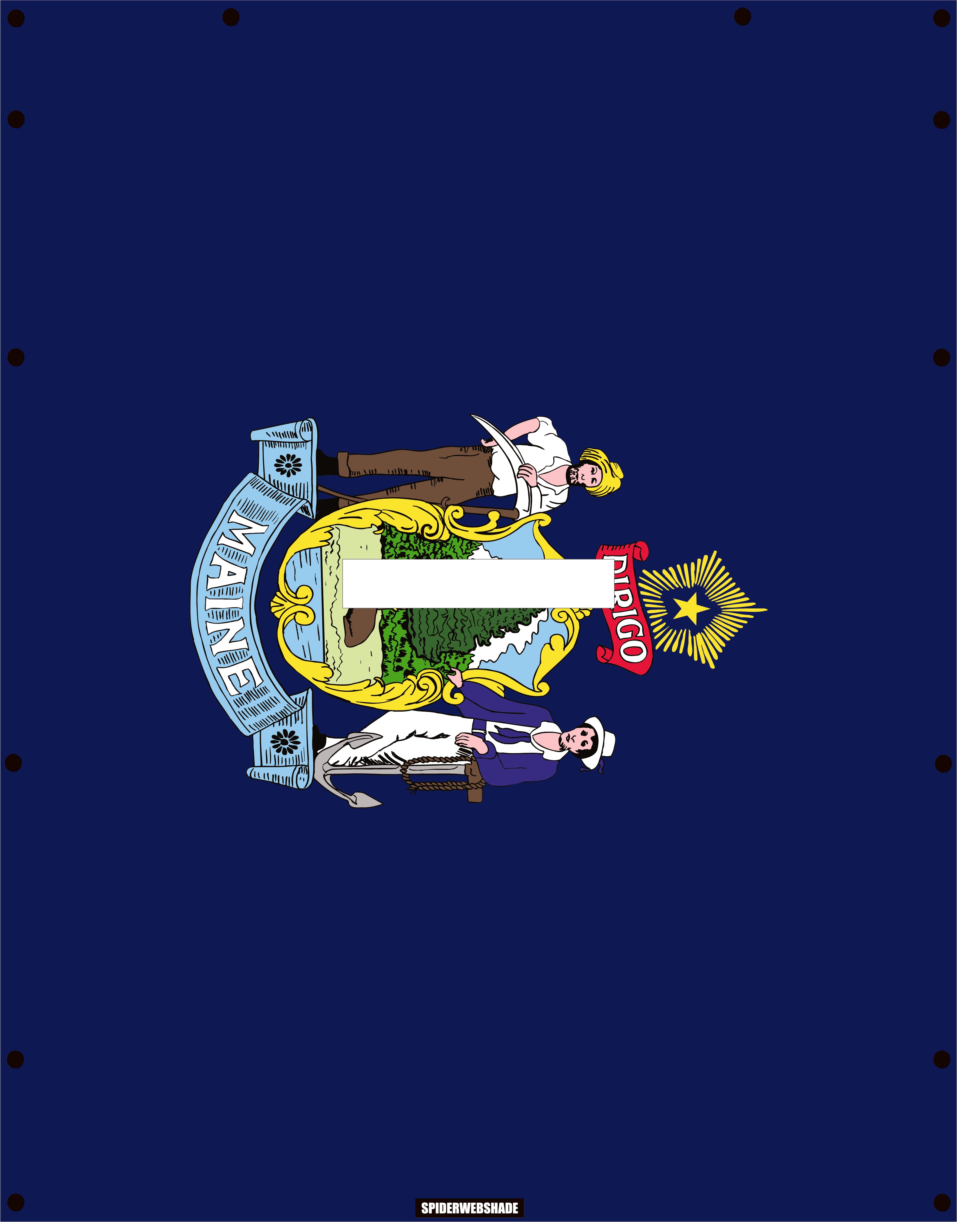GLADIATOR JT4D PRINTED STATE FLAGS – SPIDERWEBSHADE