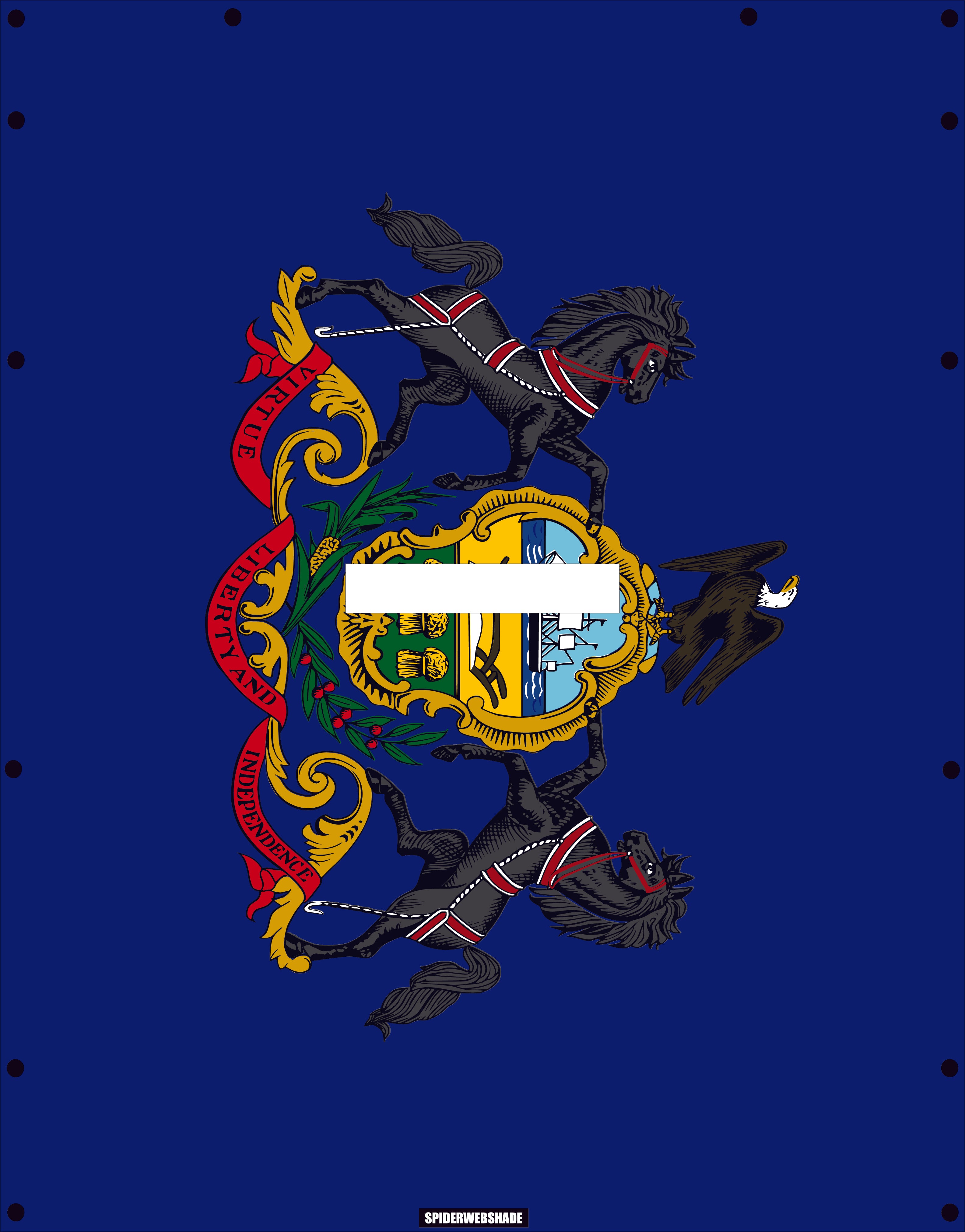 GLADIATOR JT4D PRINTED STATE FLAGS – SPIDERWEBSHADE